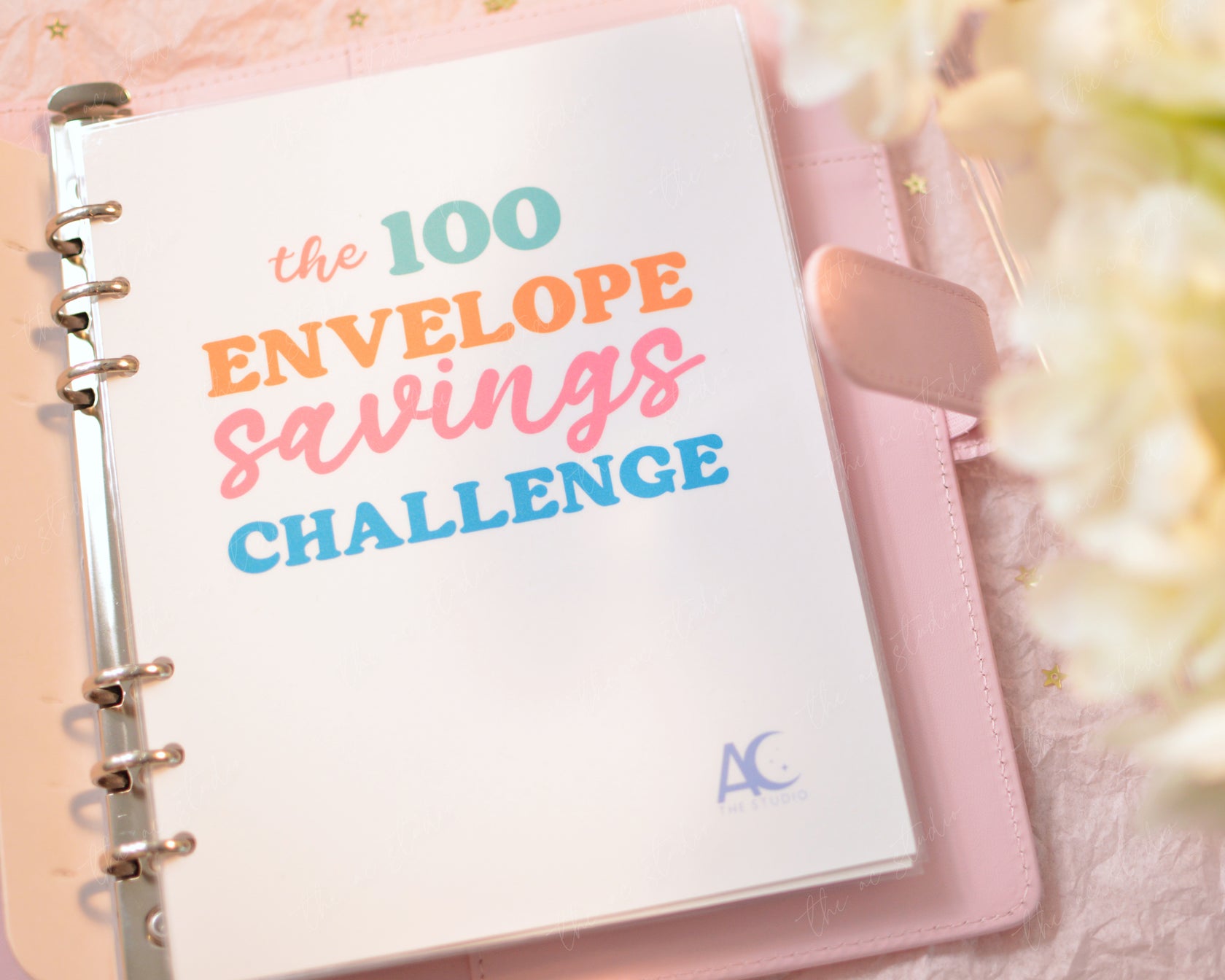 100 Envelope Savings Challenge Binder – The AC Studio
